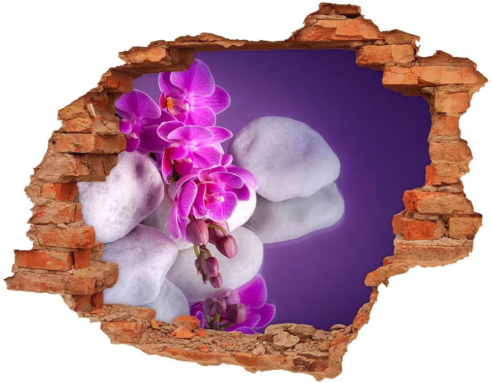 Wallmuralia Fotoobraz díra na stěnu Orchidej 90x70 cm