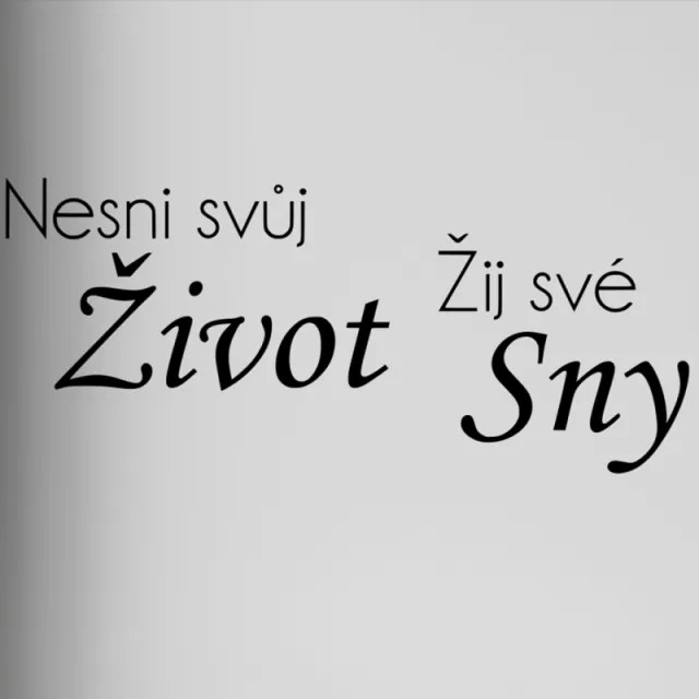 Samolepka Život a sny