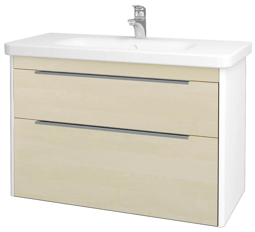 Dřevojas Koupelnová skříň ENZO SZZ2 100 Varianta: L01 Bílá vysoký lesk / D16 Beton tmavý