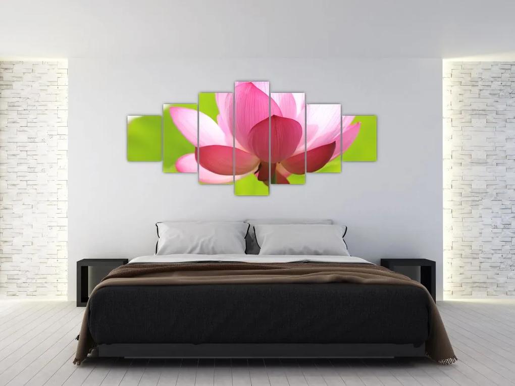 Obraz květu Lotusu (210x100 cm)