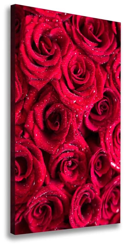 Wallmuralia Foto obraz na plátně Červené růže 50x100 cm