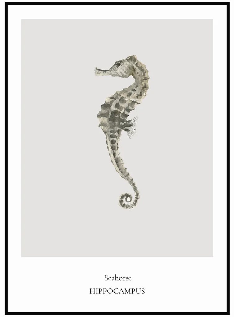 Plakát Seahorse A4 (21 x 29,7 cm)