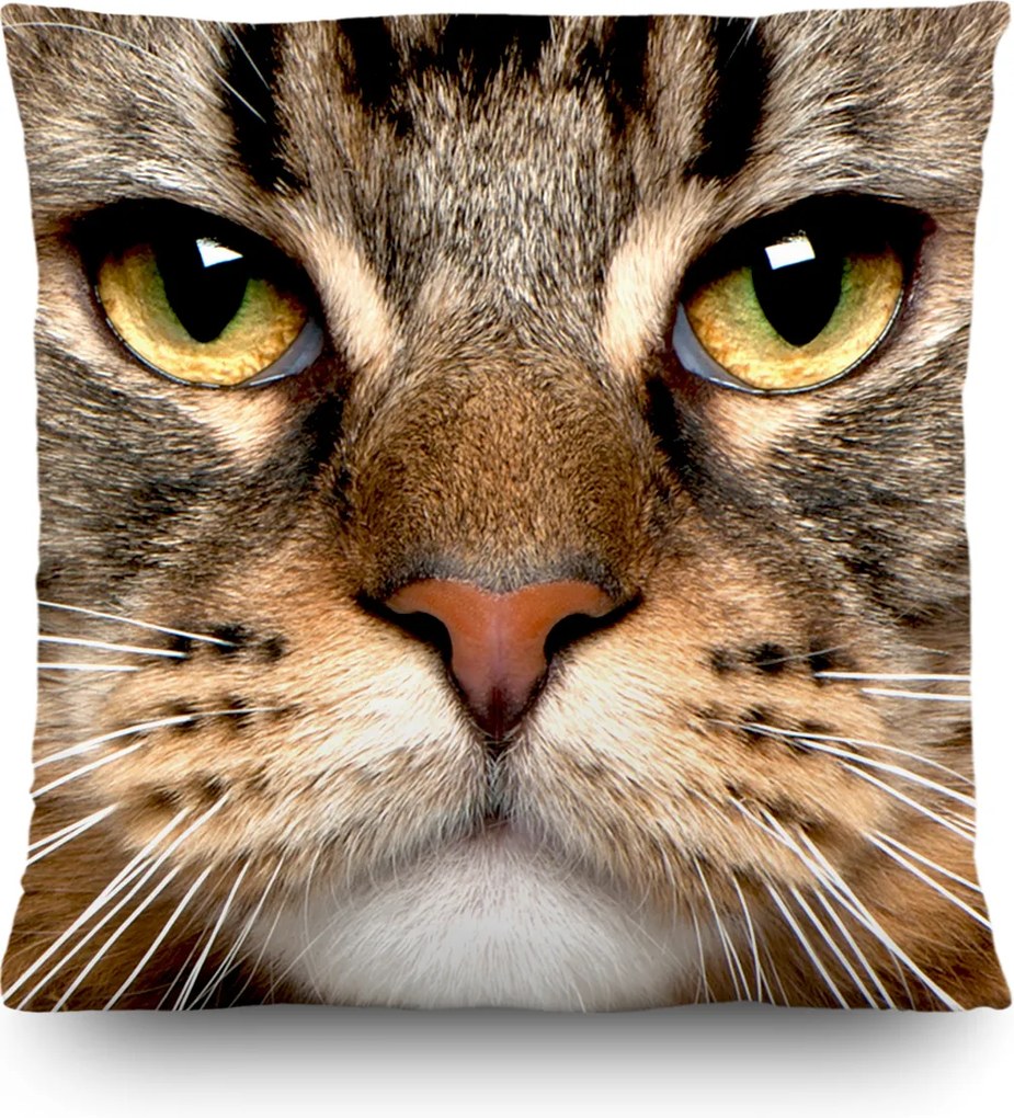 Dekorační foto polštářek Kočky, 45x45cm, CN3615
