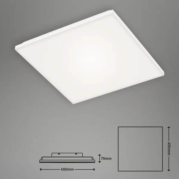 Briloner 7376-116 - LED Stropní svítidlo FRAMELESS LED/24W/230V