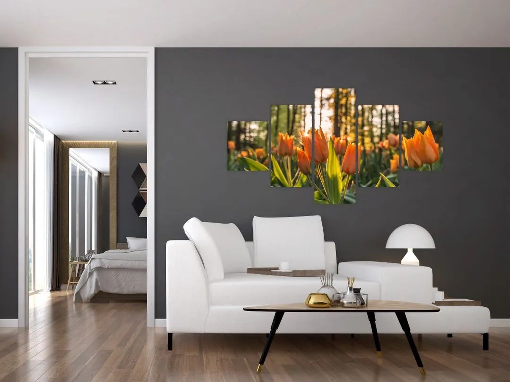 Obraz - oranžové tulipány (125x70 cm)