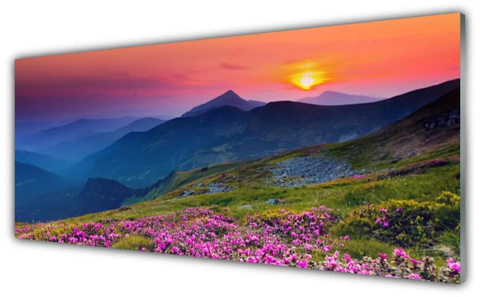 akrylový obraz Hory Louka Květiny Krajina 125x50 cm