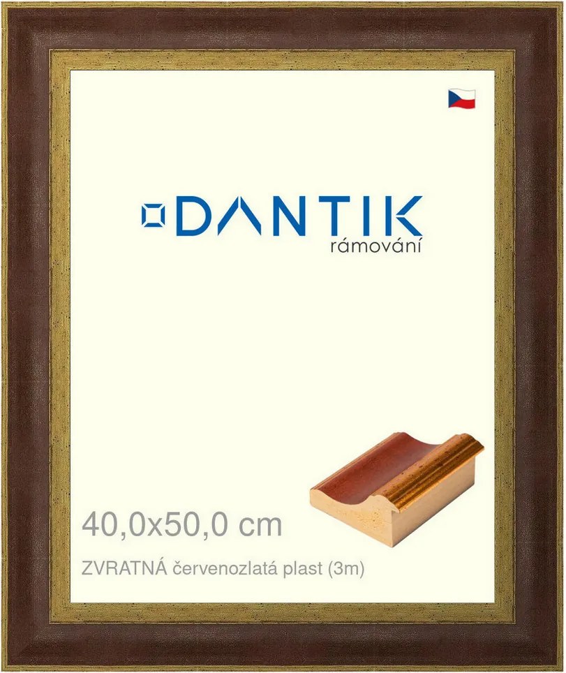 DANTIK rámeček 40x50 | ZVRATNÁ červenozlatá plast (Plexi Čiré)