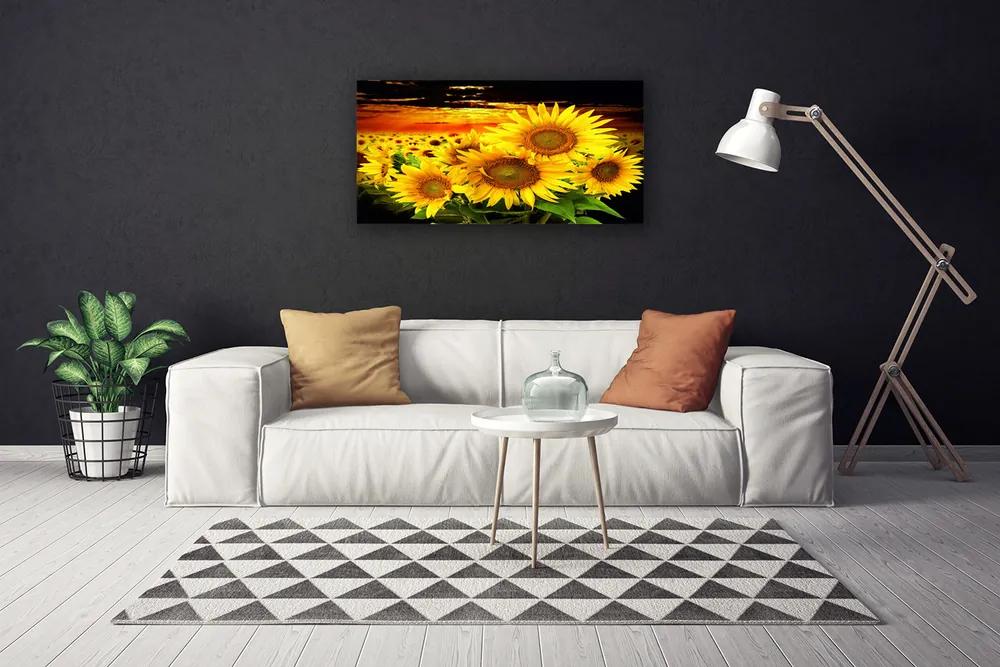 Obraz na plátně Slunečnice Květ Rostlina 140x70 cm