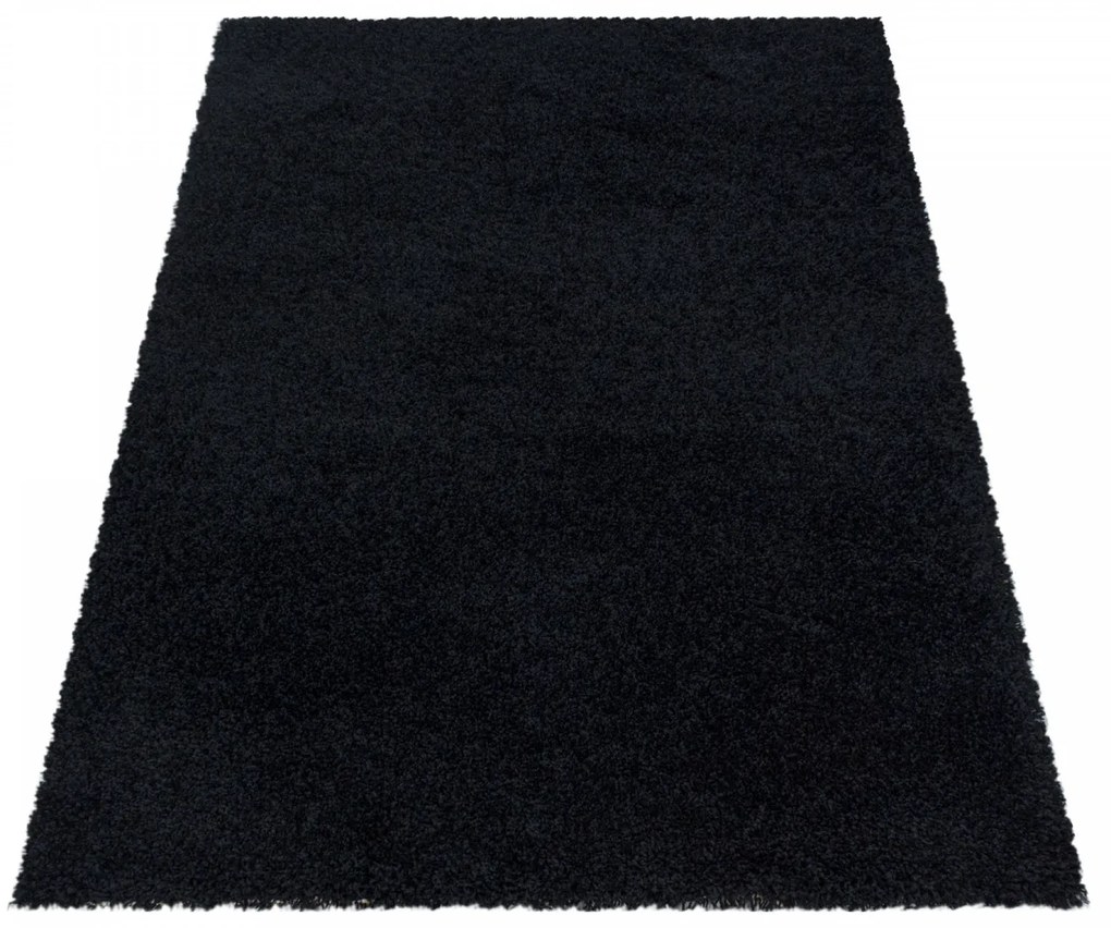 Ayyildiz, Kusový koberec Sydney Shaggy 3000 black, 200x290, černá, ložnice