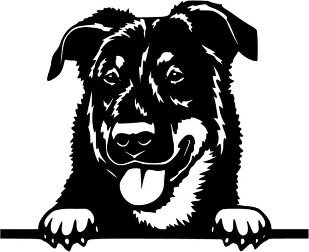 Samolepka pes Beauceron