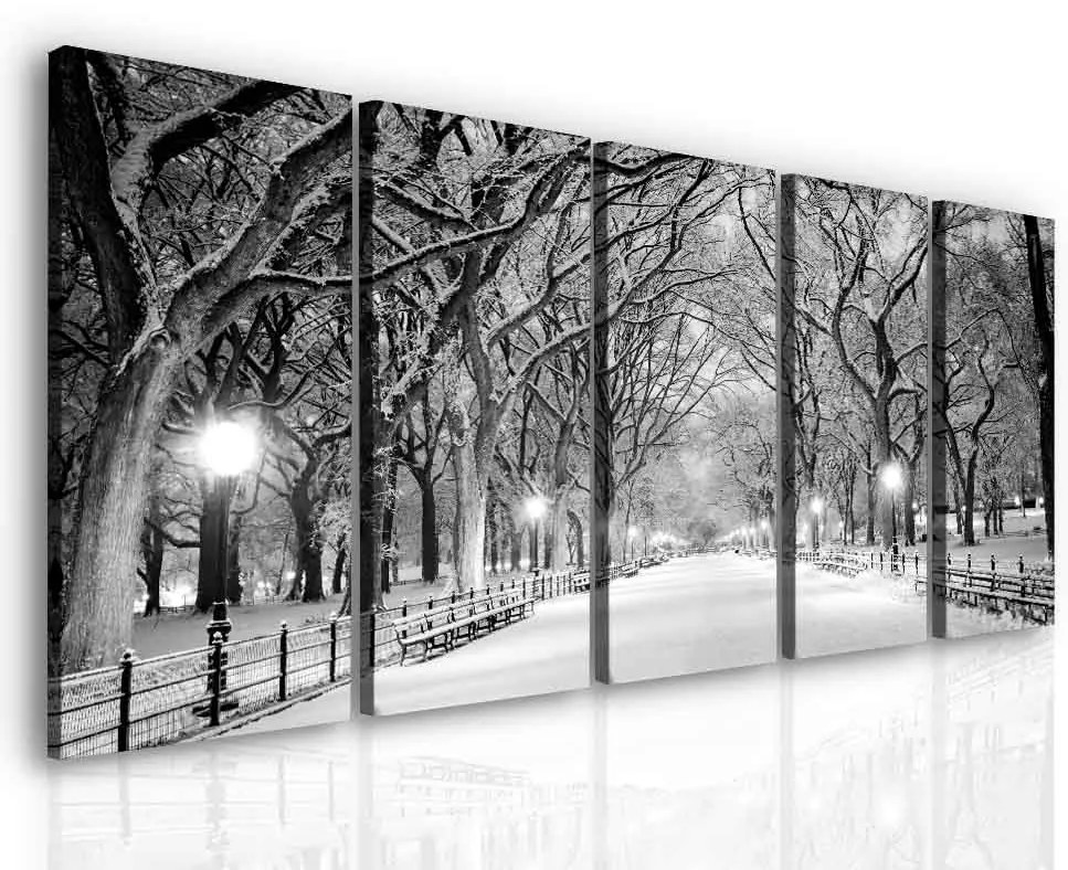 Obraz Central Park Velikost (šířka x výška): 200x90 cm