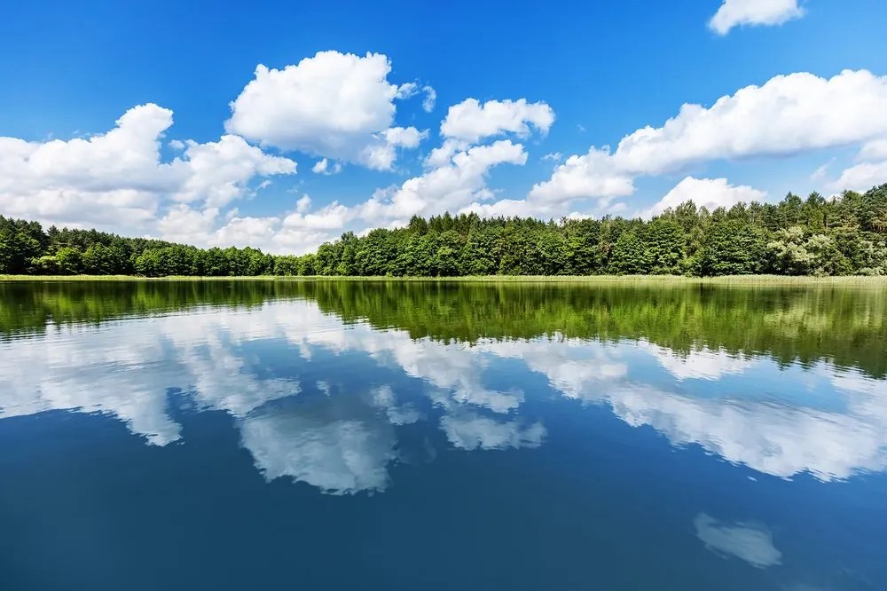 Fototapeta příroda v letním období