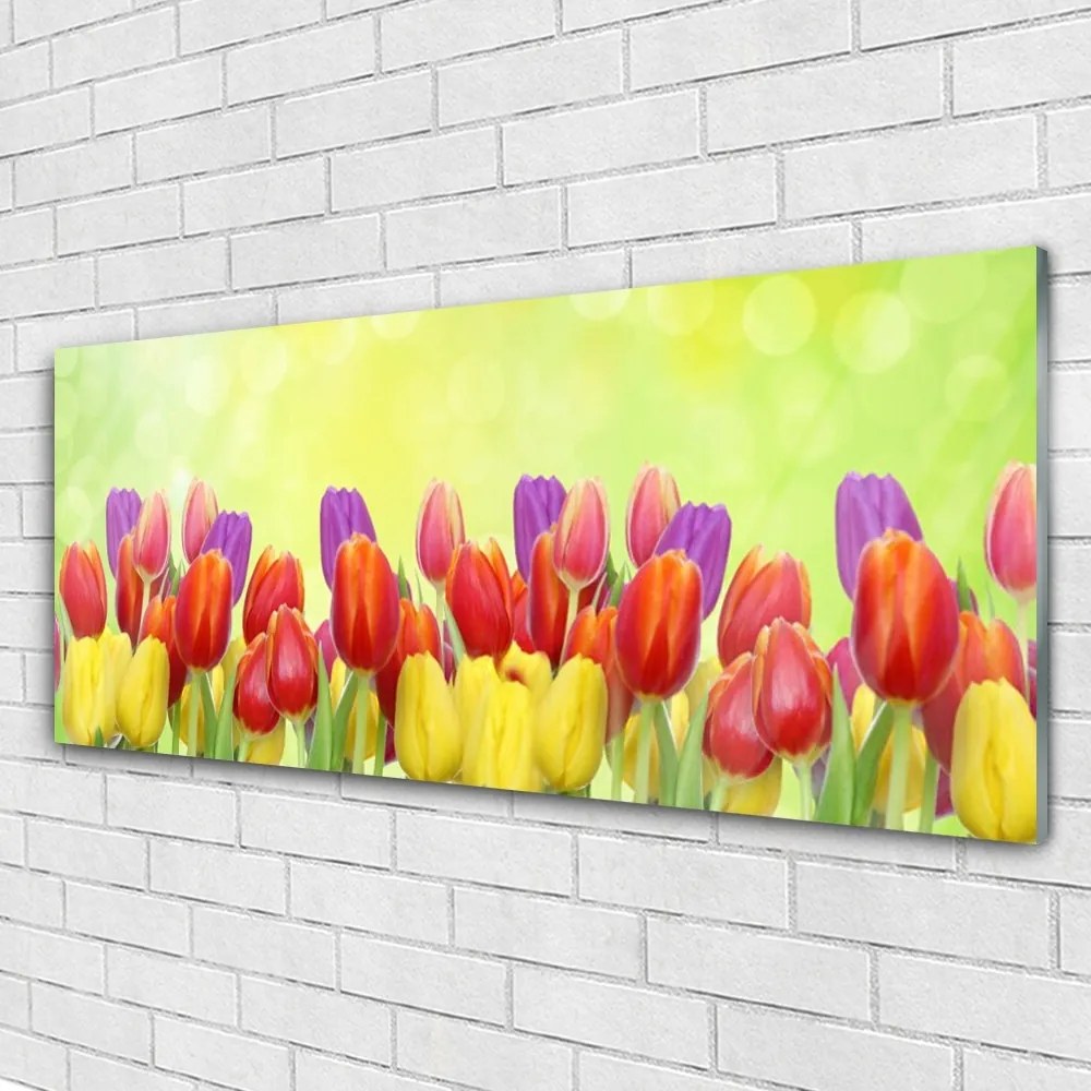 akrylový obraz Tulipány Květiny Rostlina 125x50 cm