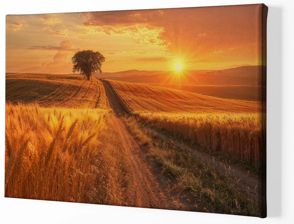 Obraz na plátně - Osamělý fešák u cesty FeelHappy.cz Velikost obrazu: 210 x 140 cm