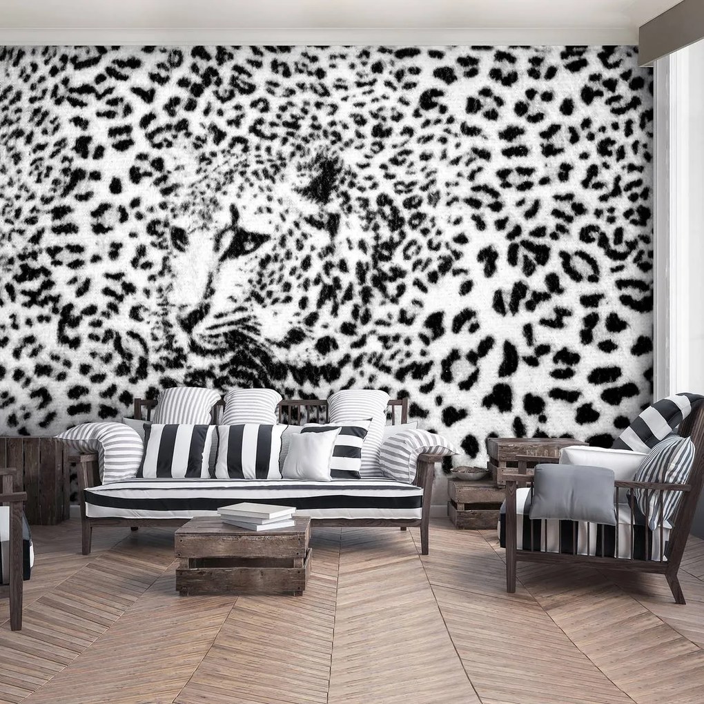 Fototapeta - Černobílá - gepard (152,5x104 cm)