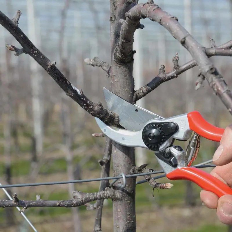 Zahradnické nůžky FELCO 2