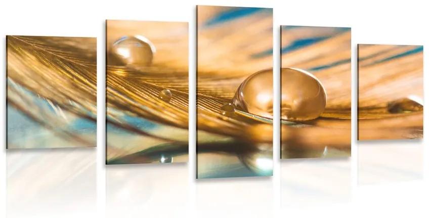 5-dílný obraz kapka vody na zlatém pírku Varianta: 100x50