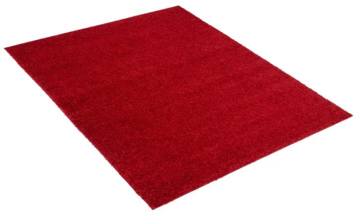 Exkluzivní kusový koberec SHAGGY PORTE-T TK0020 - 70x200 cm