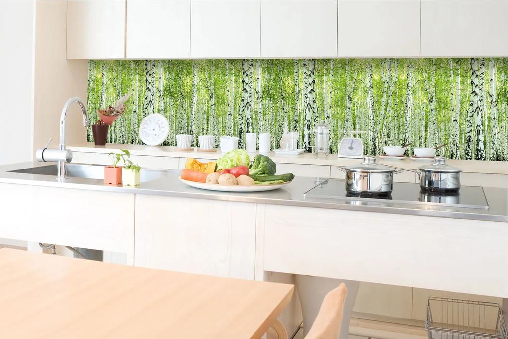 DIMEX | Fototapeta do kuchyně Jarní březový háj KI-350-193 | 350 x 60 cm | zelená, černá, bílá