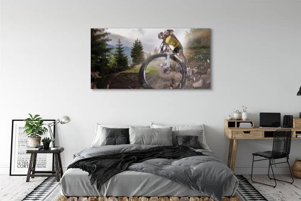 akrylový obraz Cloud na horském kole 140x70 cm