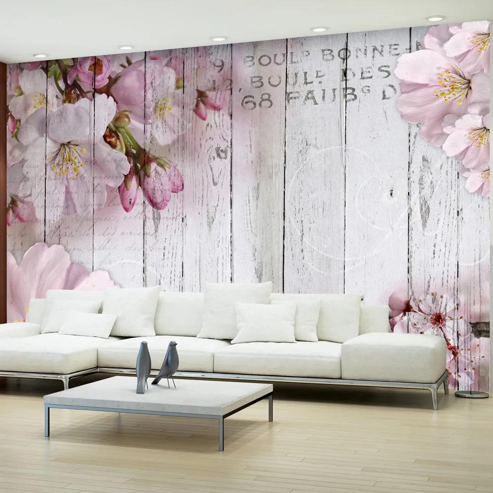 Fototapeta Bimago - Apple Blossoms + lepidlo zdarma 400x280 cm