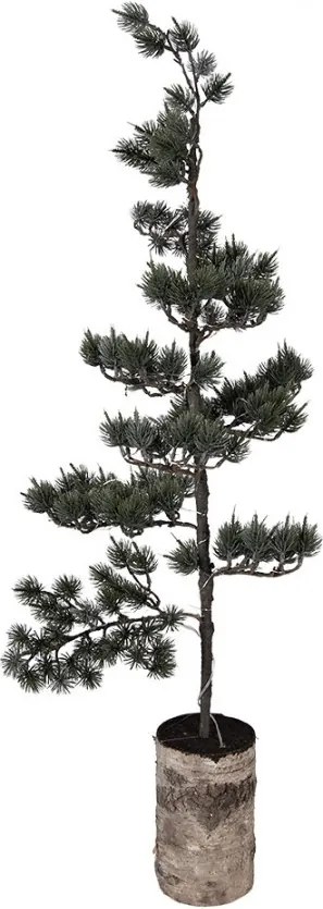 Dekorativní svítící jehličnatý stromek na podstavci Bonsai Tree LED L - 30*35*100 cm / 3*AAA