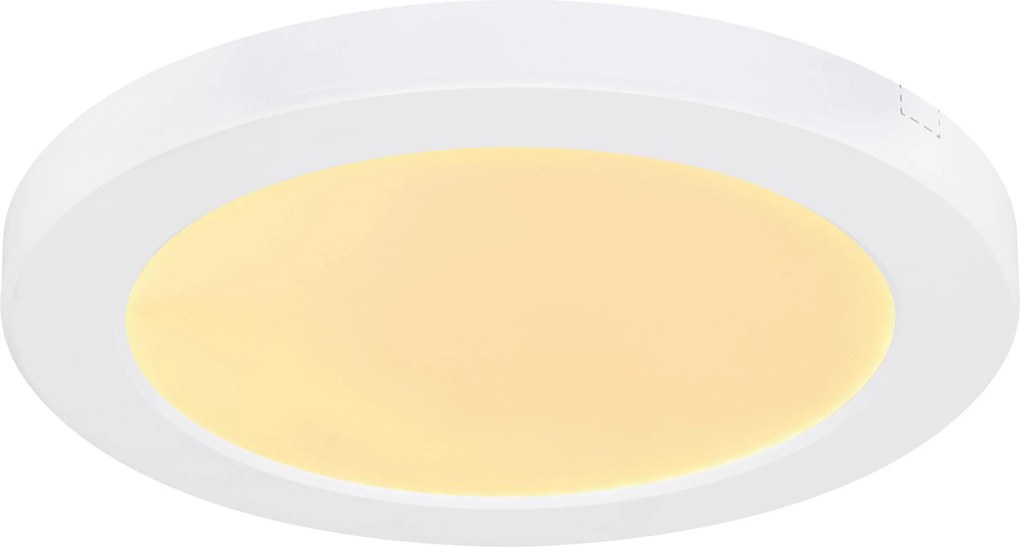 XXXLutz STROPNÍ LED SVÍTIDLO, 22/1,8 cm Boxxx - Stropní svítidla - 008181098502
