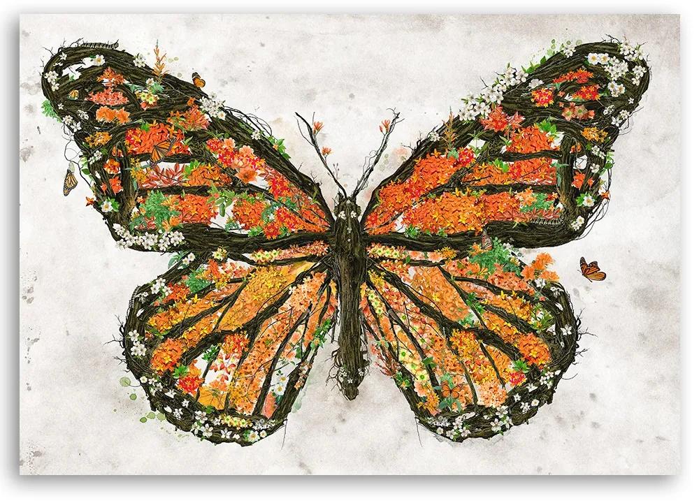 Gario Obraz na plátně Motýl a kouzelná křídla - Barrett Biggers Rozměry: 60 x 40 cm