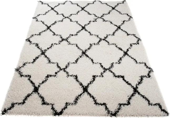 Exkluzivní kusový koberec SHAGGY LOCANA L0660 - 60x100 cm