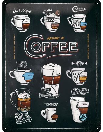 Postershop Plechová cedule: Anatomy of Coffee - 40x30 cm