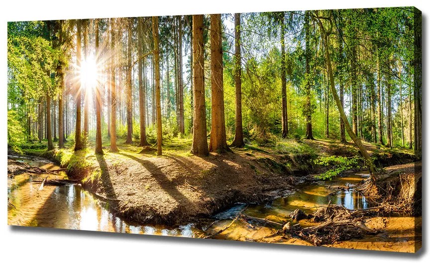 Wallmuralia Foto obraz na plátně do obýváku Panorama les 120x60 cm