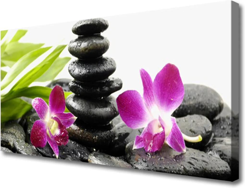 Obraz Canvas Kameny Zen Lázně Orchidej