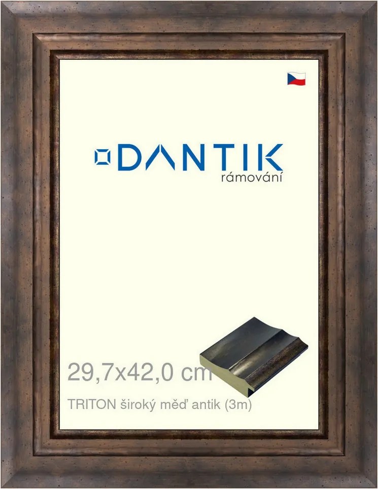 DANTIK rámeček 29,7x42 | TRITON široký měď antik (Plexi Čiré)