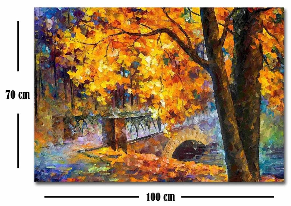 Obraz LEONED 70x100 cm vícebarevný