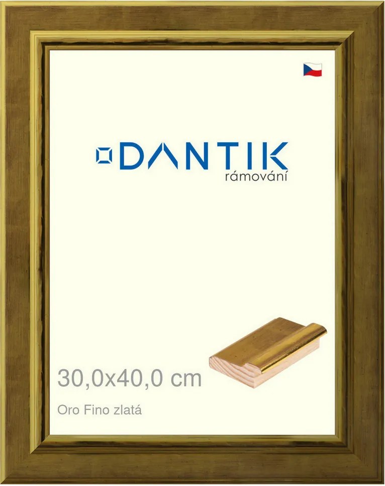 DANTIK rámeček 30x40 | Oro Fino zlatá (Plexi Čiré)