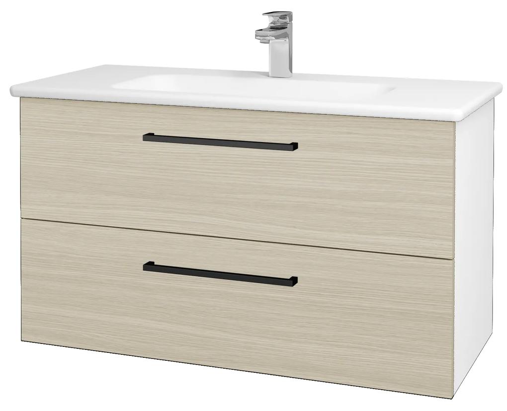 Dřevojas Koupelnová skříň GIO SZZ2 100 Varianta: M01 Bílá mat / Úchytka T01 / M01 Bílá mat