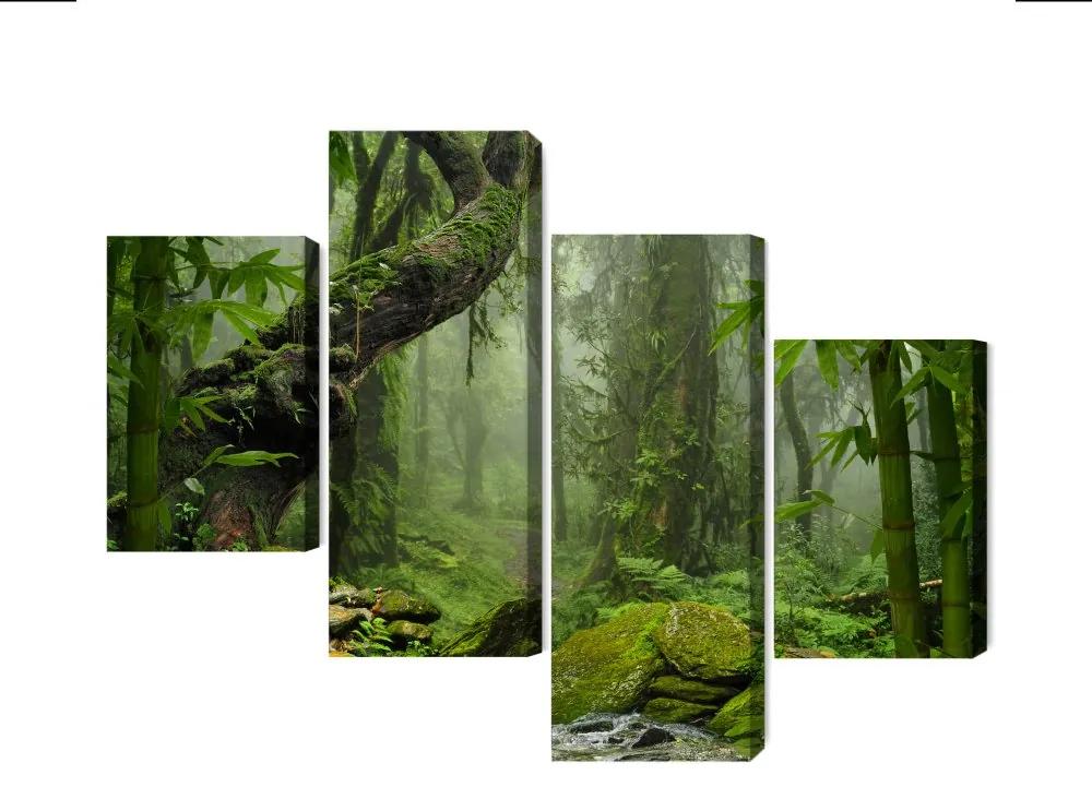 Vícedílný obraz Zeleň Deštného Pralesa Nedostatek Nedostatek Plátno Canvas 120x75