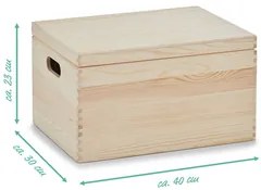 Zeller úložný box s víkem dřevěný, 40x30x23cm