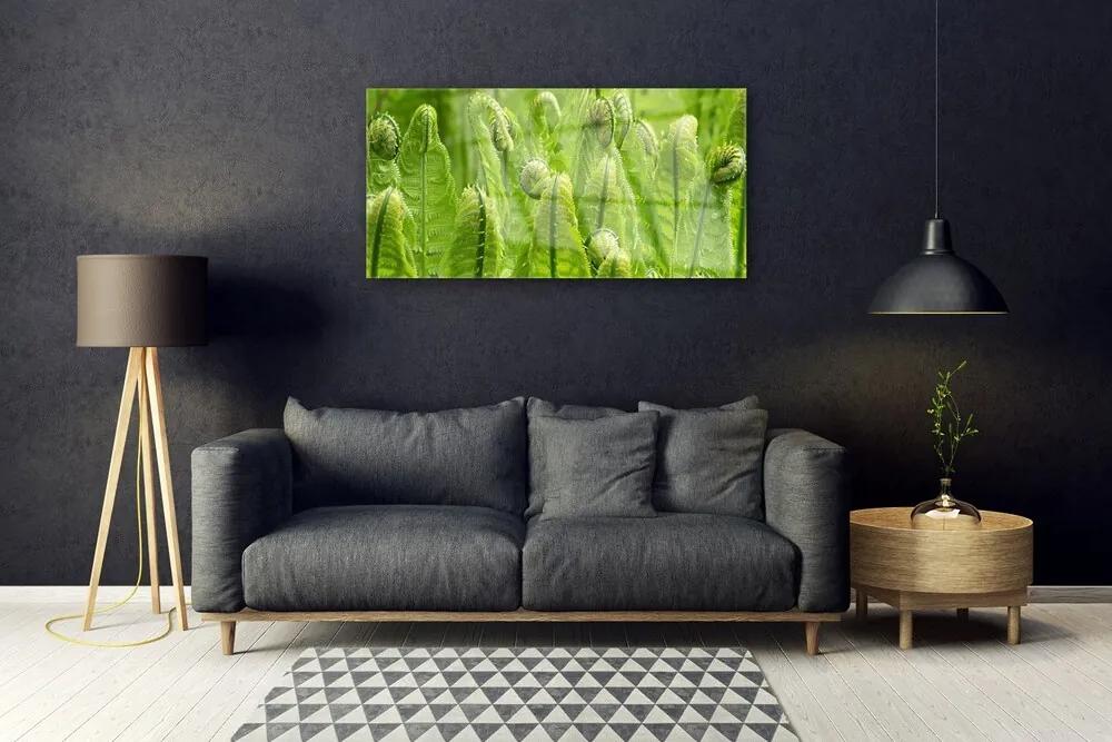 Obraz na skle Rostlina Příroda 140x70 cm