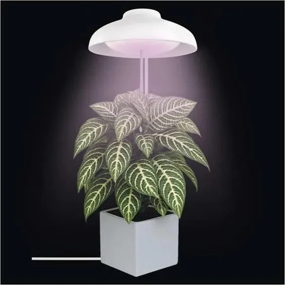 Lampa pěstební EMOS Z7901 Grow 5W
