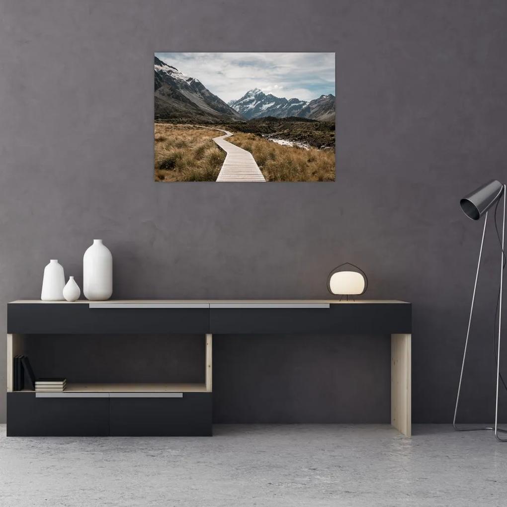Skleněný obraz - Chodník v údolí hory Mt. Cook (70x50 cm)
