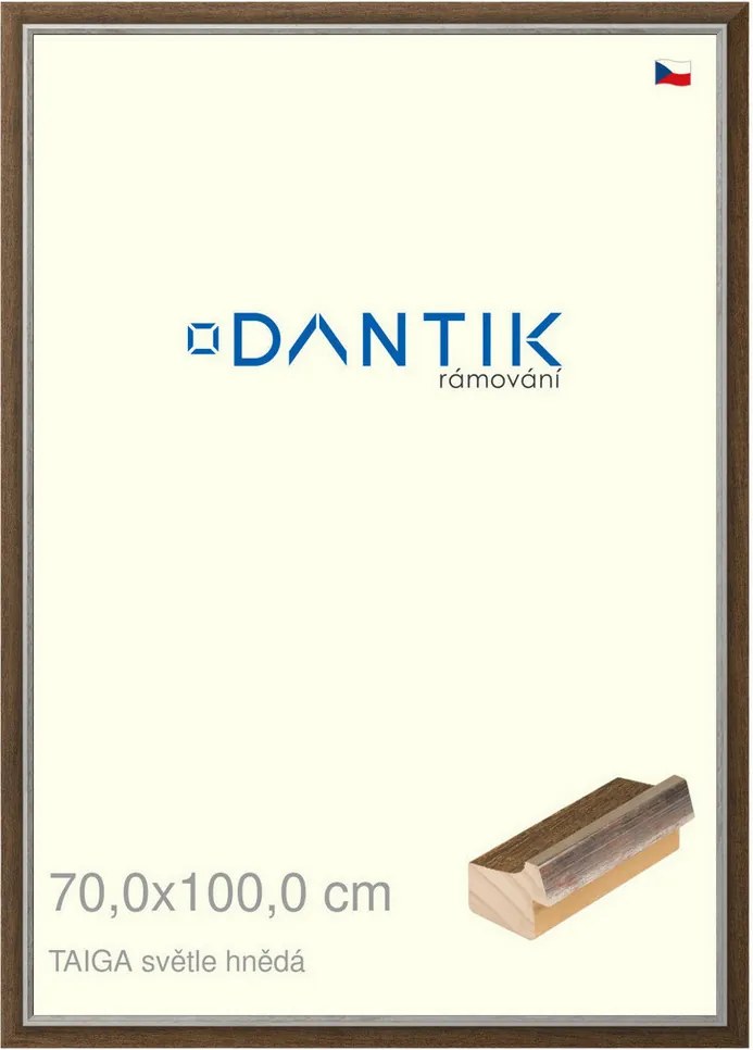 DANTIK rámeček 70x100 | TAIGA sv.hnědá (Plexi Čiré)
