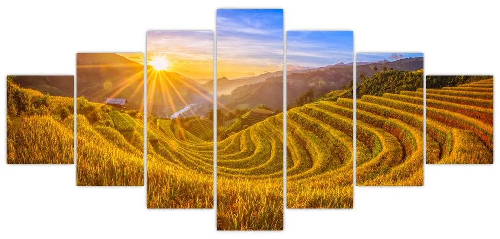 Obraz - Rýžové terasy ve Vietnamu (210x100 cm)