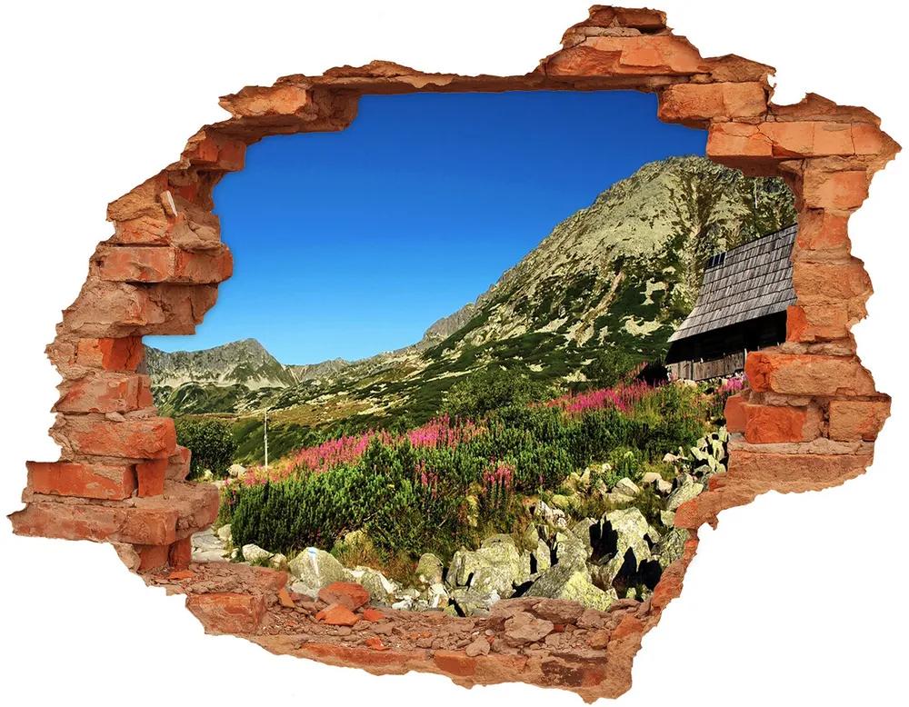 Wallmuralia Nálepka fototapeta 3D Chata v údolí 90x70 cm