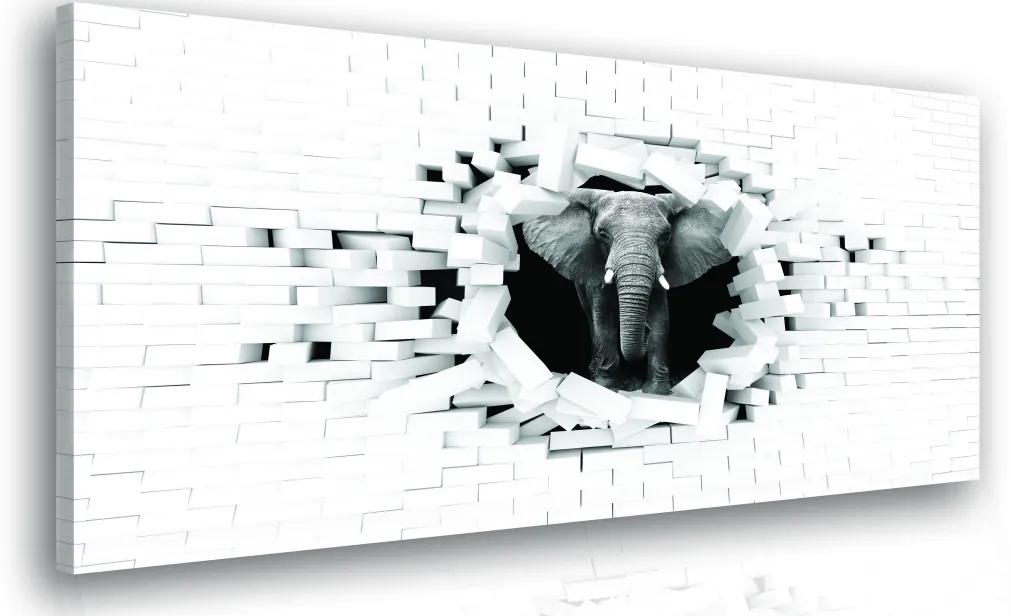 3d obraz slon ve zdi Velikost (šířka x výška): 150x100 cm