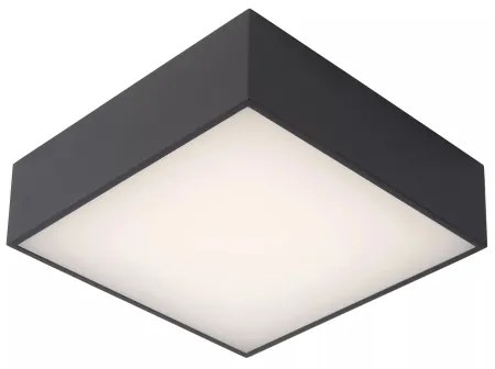 Lucide 27816/10/29 - LED Koupelnové stropní svítidlo ROXANE LED/12W/230V IP54