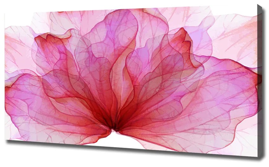 Wallmuralia Foto obraz na plátně do obýváku Růžová květina 120x60 cm