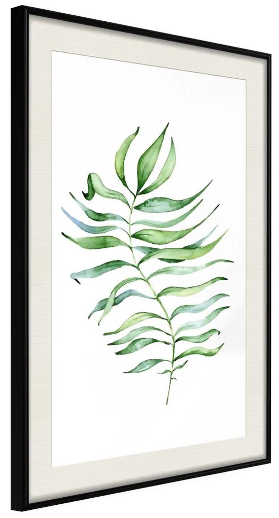 Plakát Tančící lístek - akvarelová kompozice zelených listů na bílé