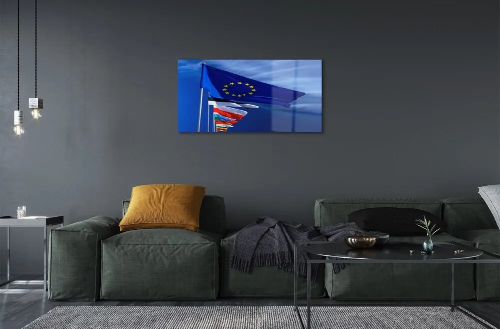 Obraz na skle různé vlajky 100x50 cm