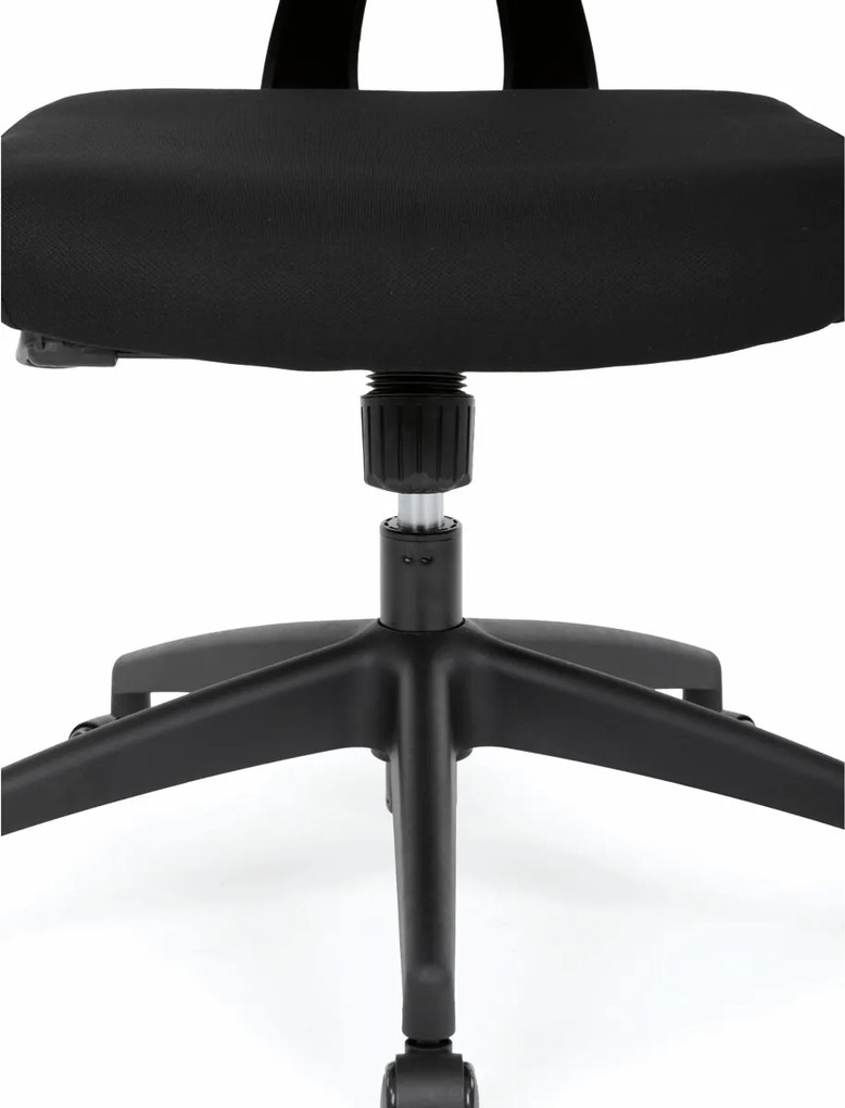 Ergonomická kancelářská židle LEXON - černá síťovina